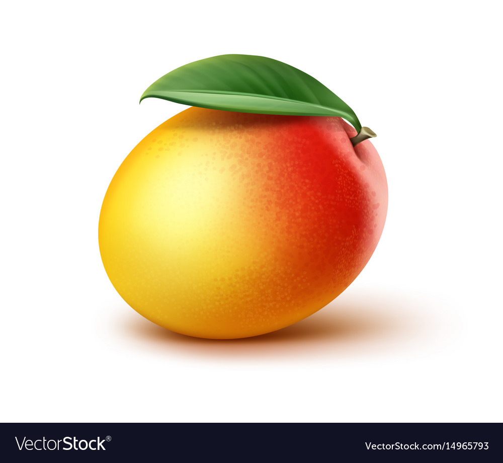 Mango with leaf Royalty Free Vector Image - VectorStock