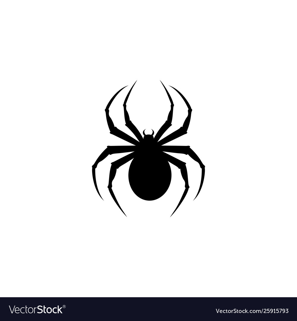 Spider icon in flat style for apps ui websites Vector Image