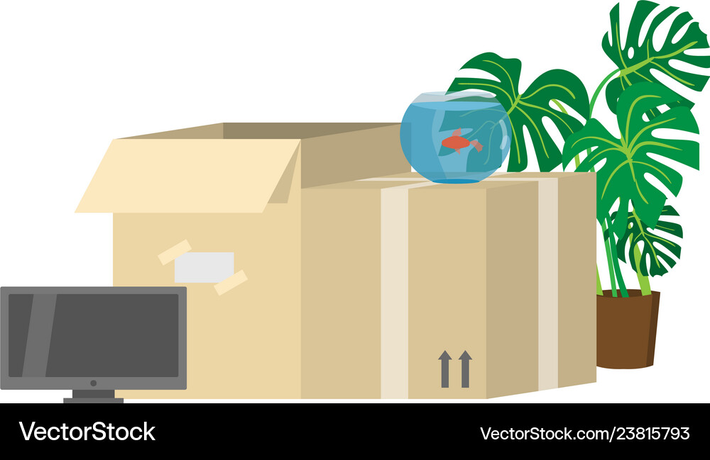 Two Big Packed Cardboard Boxes For Moving To A New