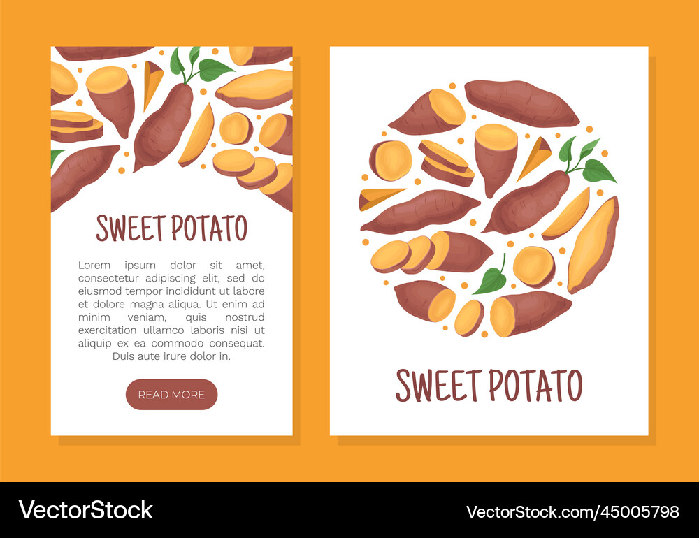 Batata or sweet potato root vegetable banner Vector Image