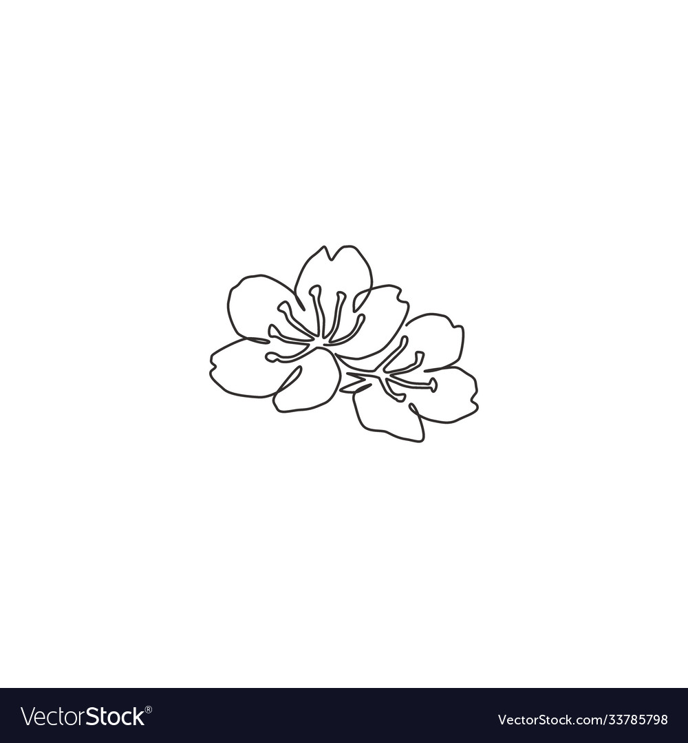 Single Continuous Line Drawing Beauty Fresh Vector Image