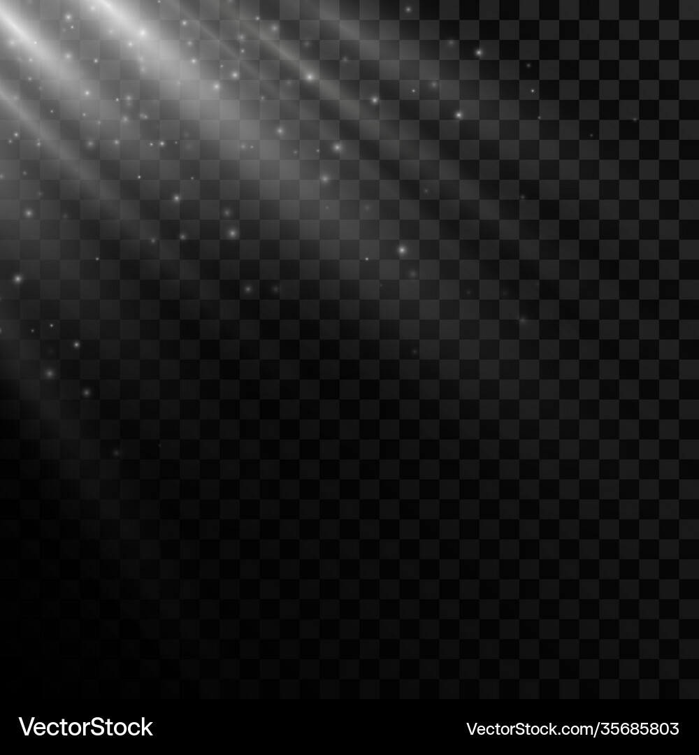 Bright light effect on a transparent background Vector Image