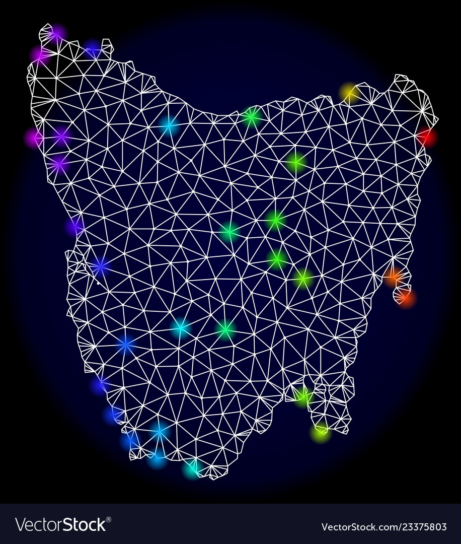 Polygonal network mesh map tasmania island Vector Image