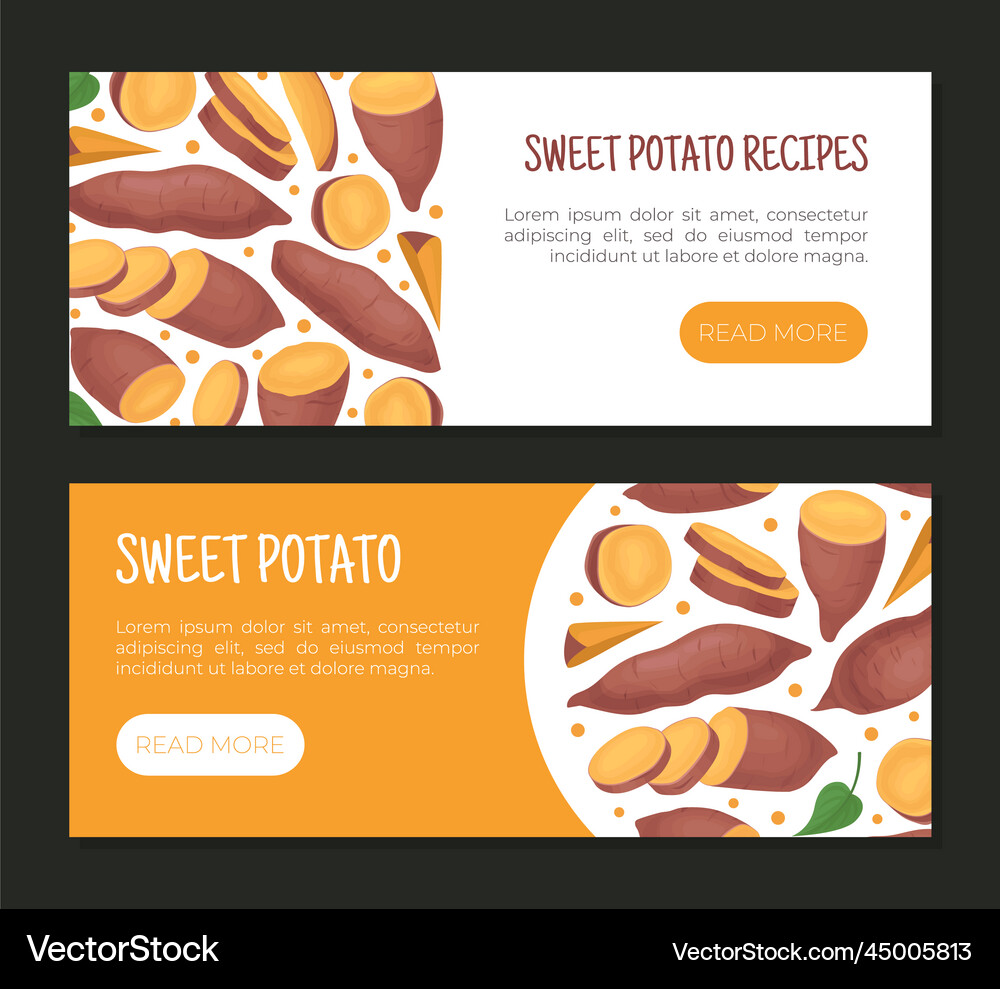 Batata or sweet potato root vegetable banner Vector Image