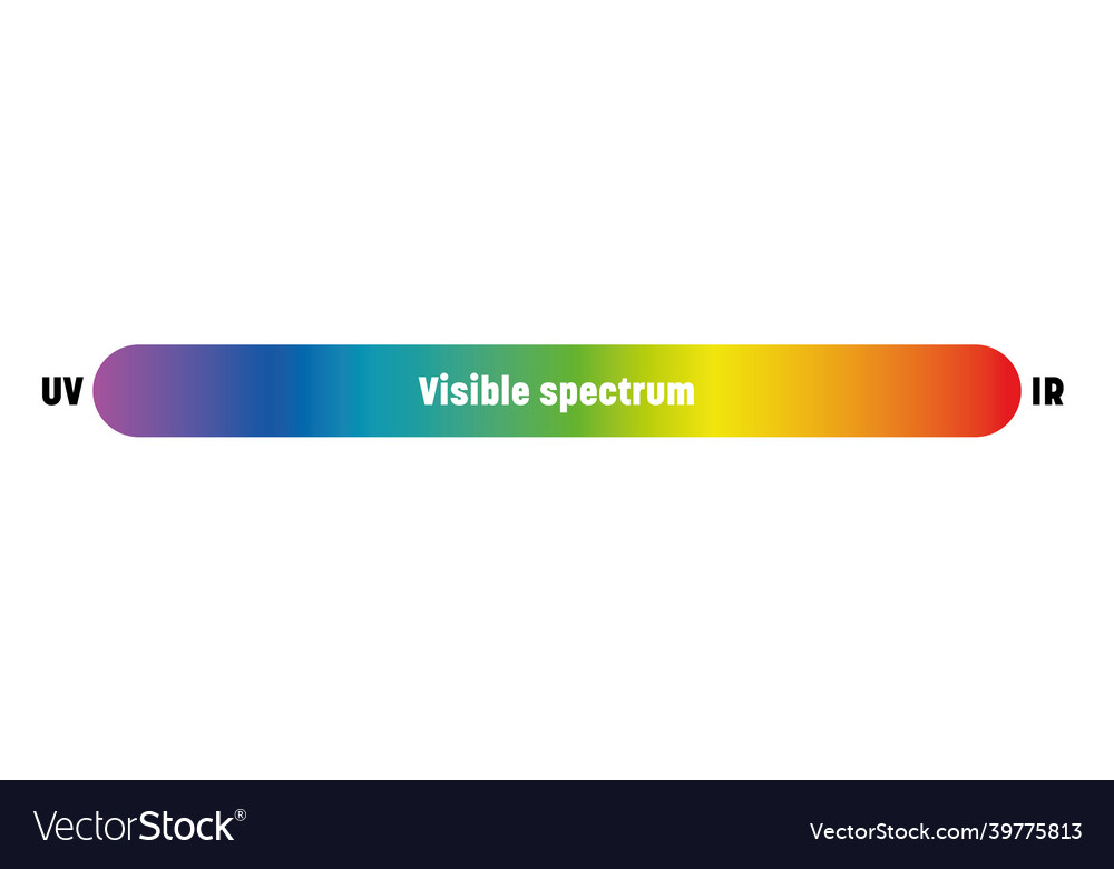 Colorful visible spectrum of light Royalty Free Vector Image
