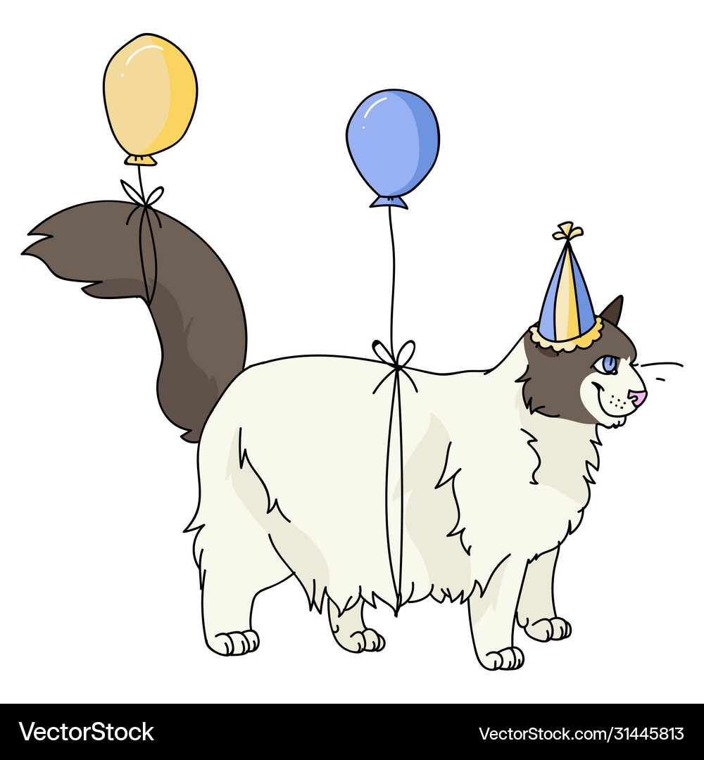 Cute cartoon ragdoll cat with party hat Royalty Free Vector