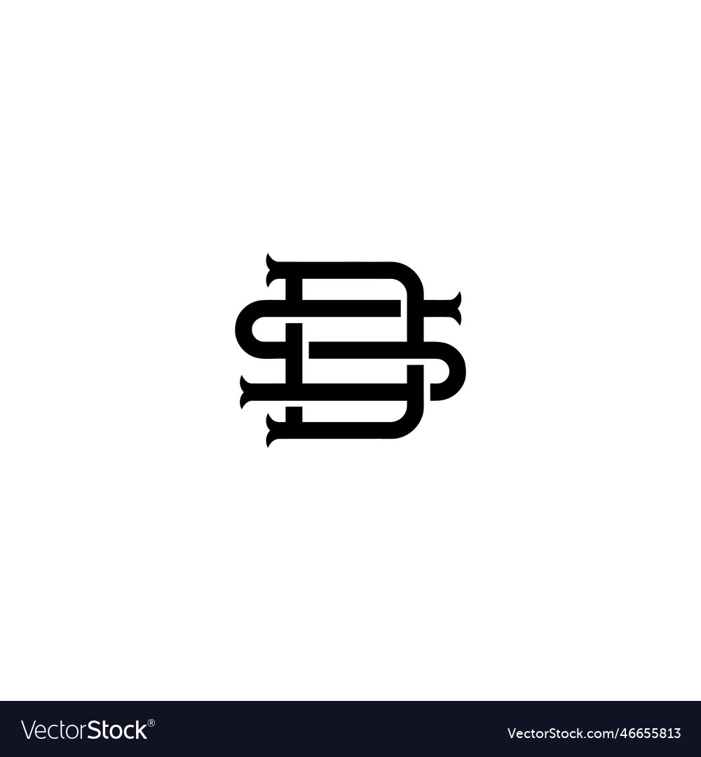 Ds Initials Logo Design Initial Letter Logo Vector Image