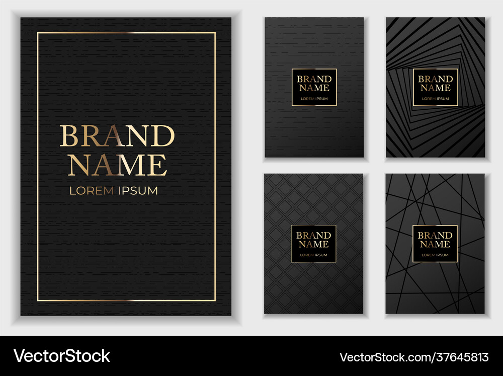 Fashionable luxury geometric pattern cover Vector Image