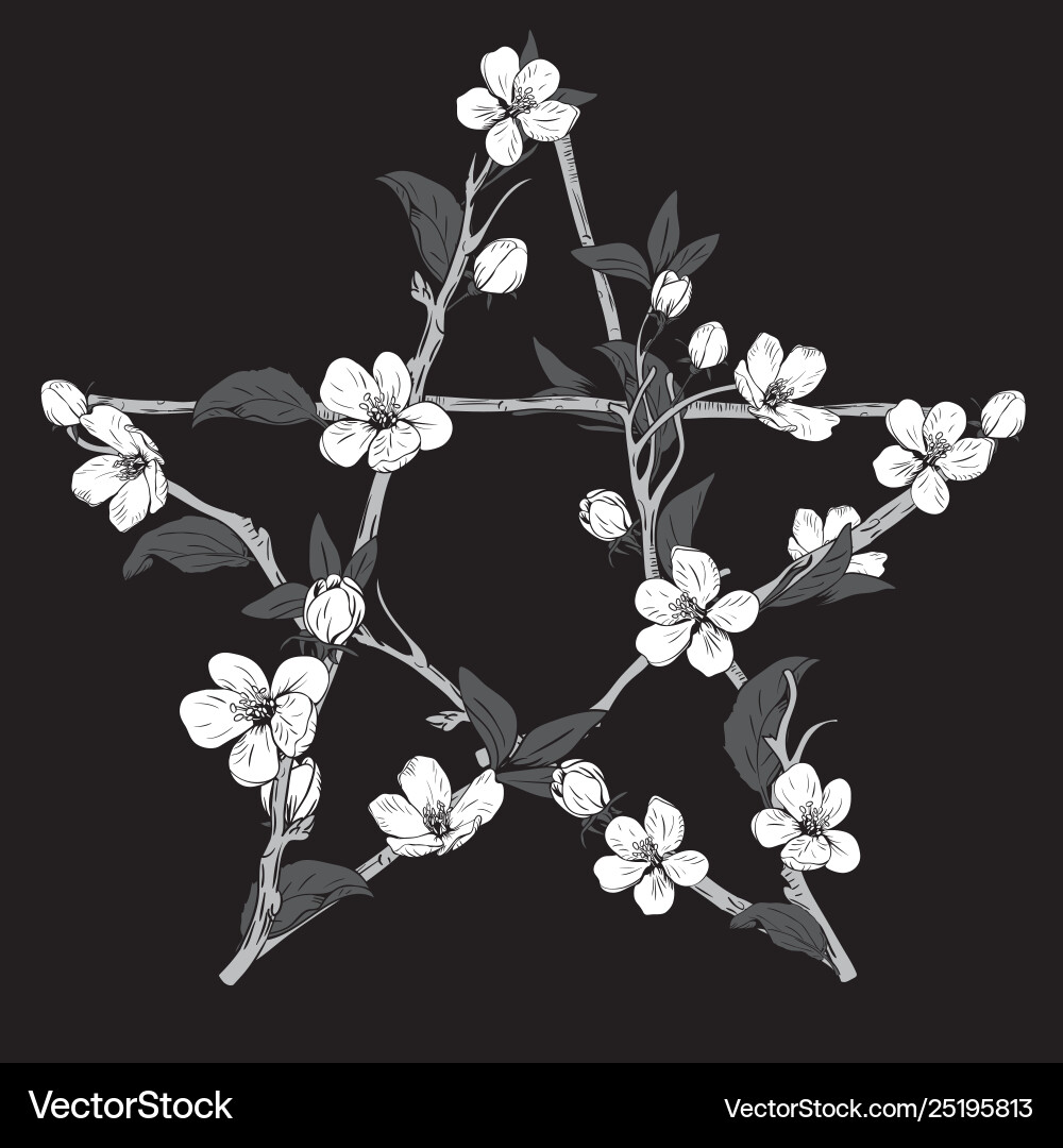 Pentagram sign made with branches from a blooming Vector Image