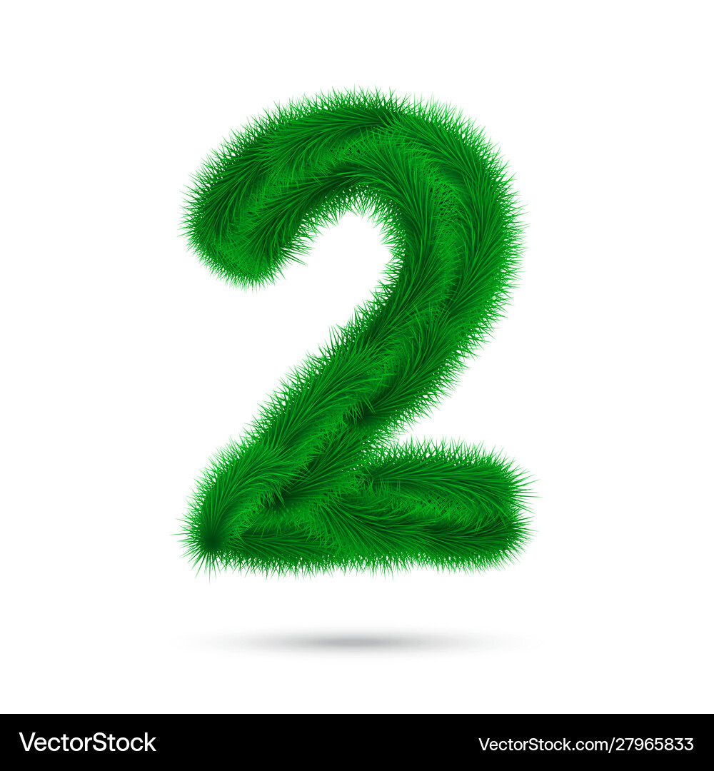Decorative number fir tree isolated on white Vector Image