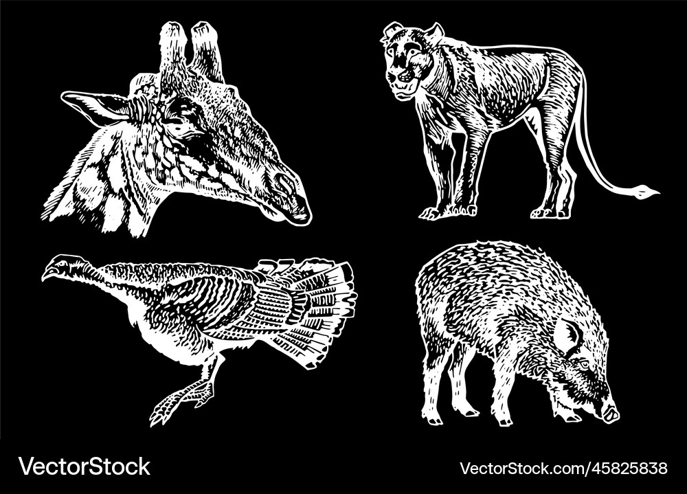 Graphical set of animals isolated on black Vector Image