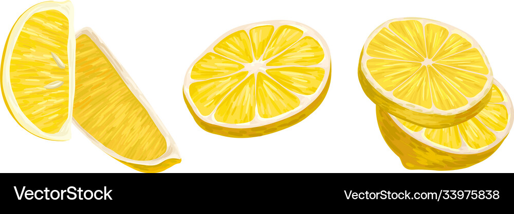 Sliced lemon citrus fruit isolated on white Vector Image