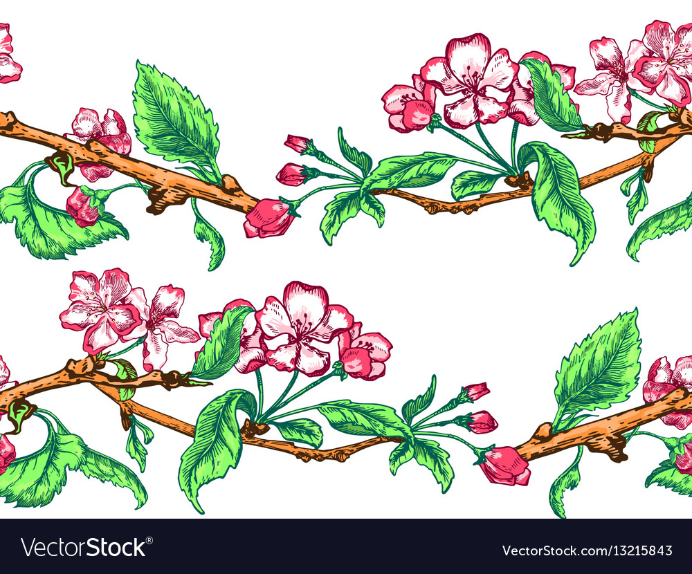 Apple tree pattern Royalty Free Vector Image - VectorStock