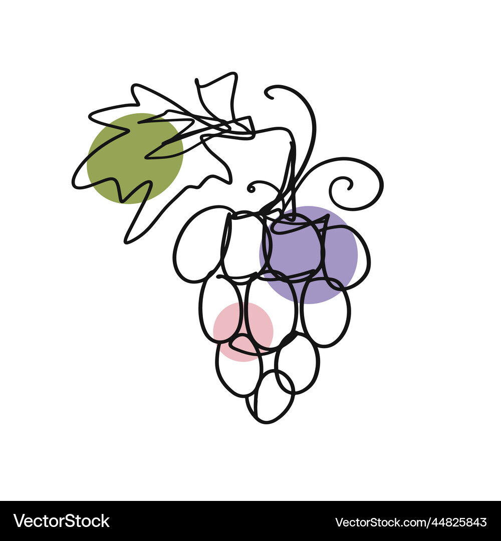 One line organic grapes drawing vineyard design Vector Image