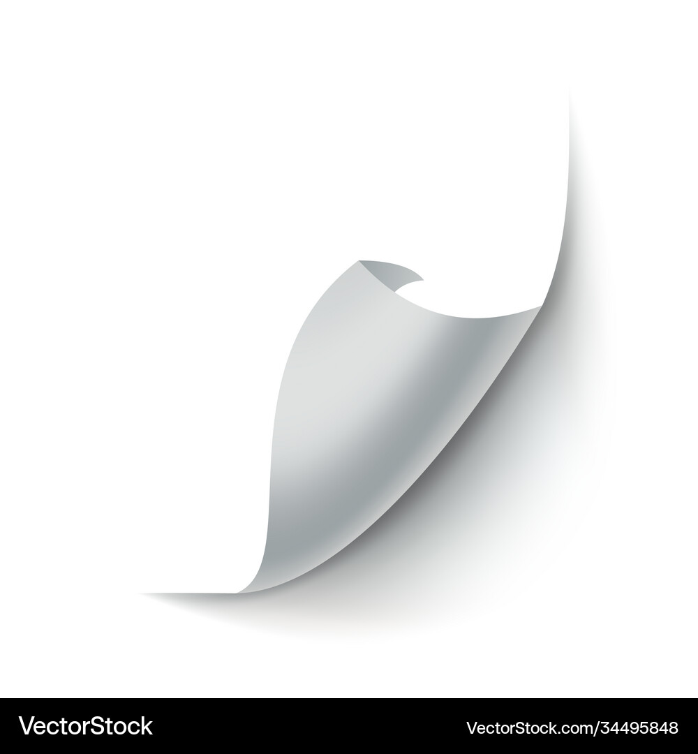 Curled paper corner curve page corner page edge Vector Image