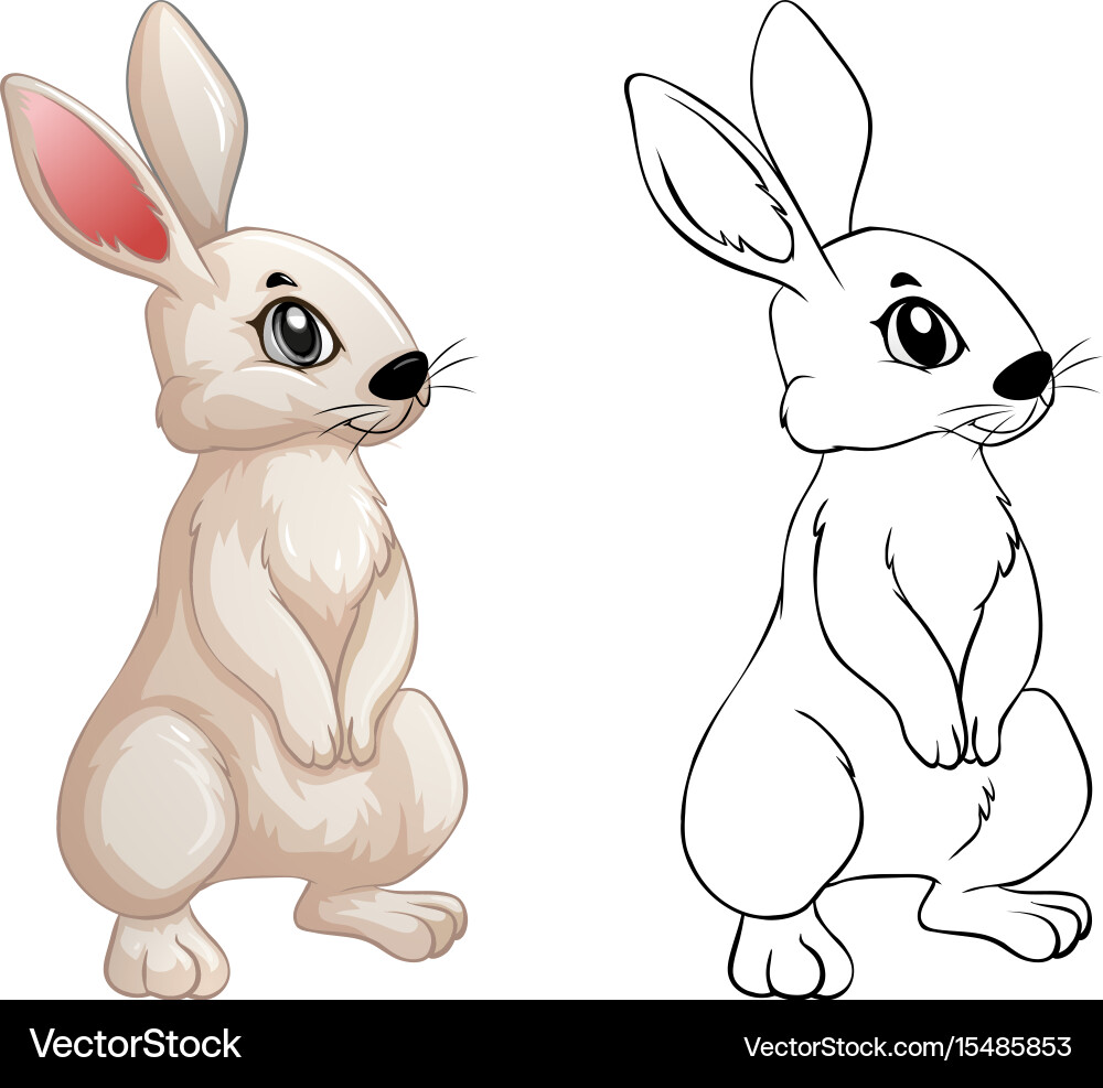 Animal doodle for little bunny Royalty Free Vector Image