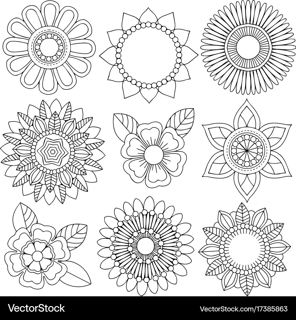 Set of different colors and floral patterns Vector Image
