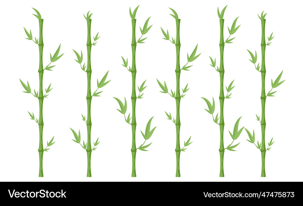 Set of bamboo stems Royalty Free Vector Image - VectorStock