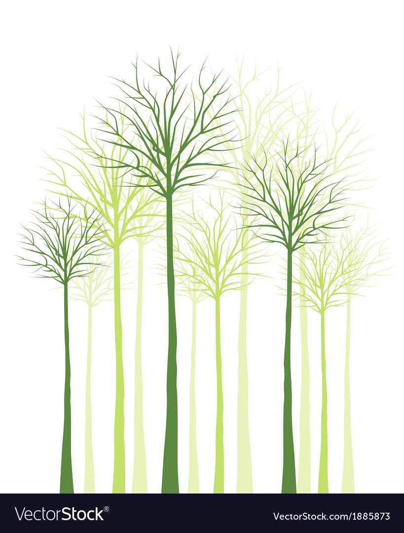 Trees Royalty Free Vector Image - VectorStock