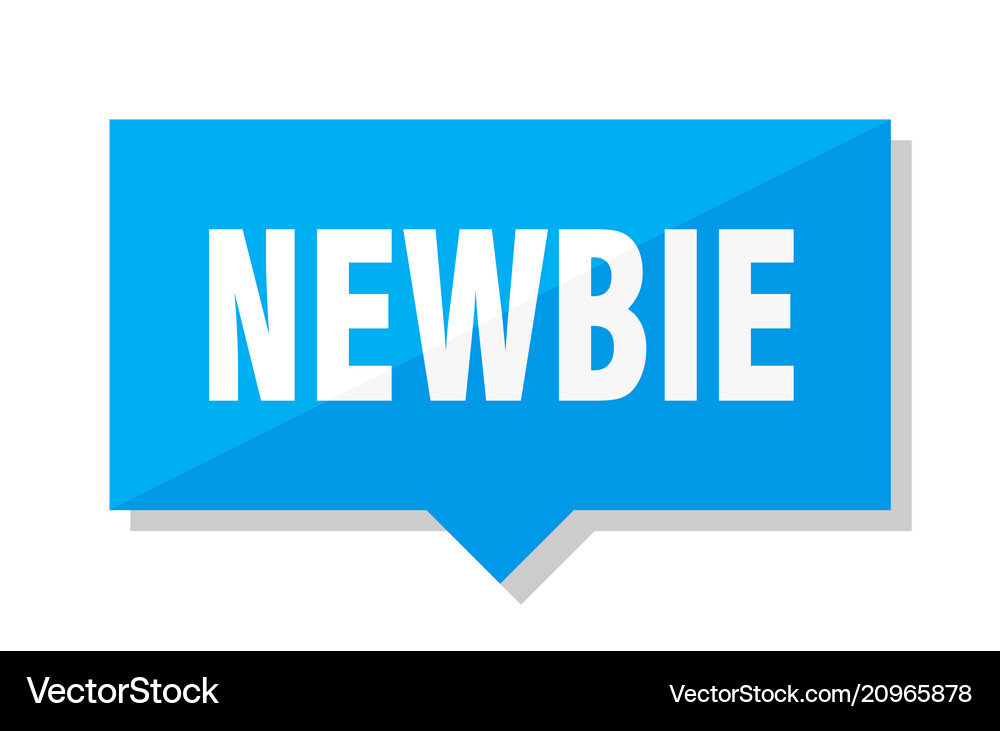 Newbie price tag Royalty Free Vector Image - VectorStock