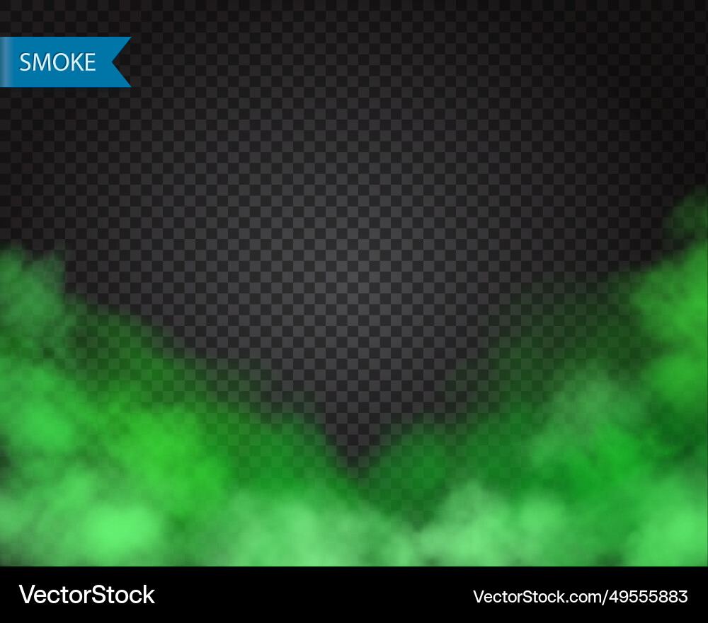 Green smoke or mist on transparent background Vector Image