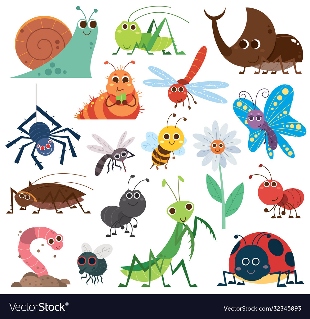 Insect set Royalty Free Vector Image - VectorStock