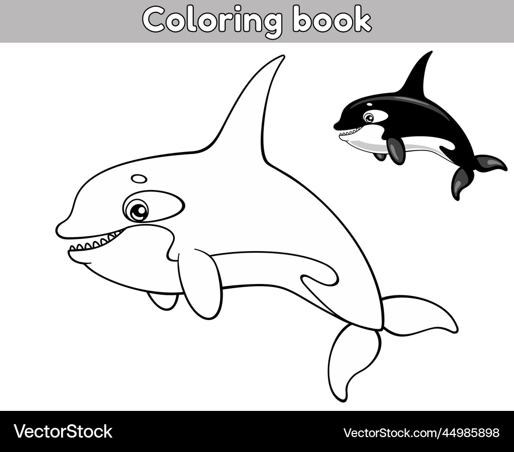 Coloring book page cartoon orca Royalty Free Vector Image