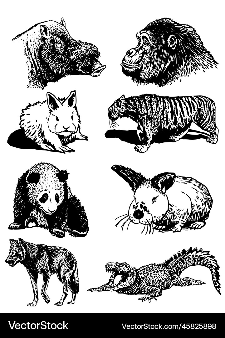 Graphical set of animals isolated on white Vector Image