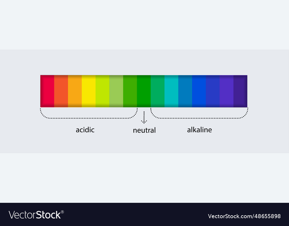 Ph scale indicator chart acidic alkaline measure Vector Image