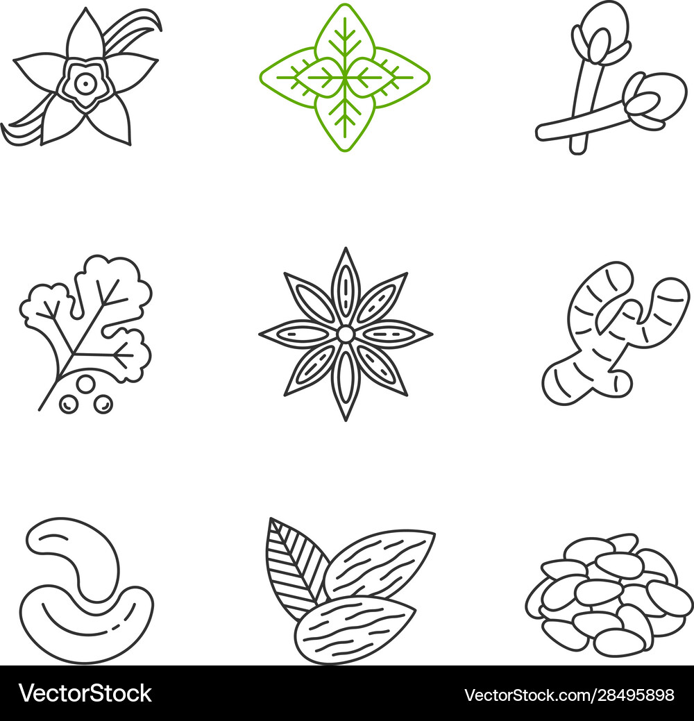 Spices linear icons set Royalty Free Vector Image