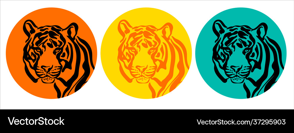 A tiger calmly looking at us in circle set Vector Image