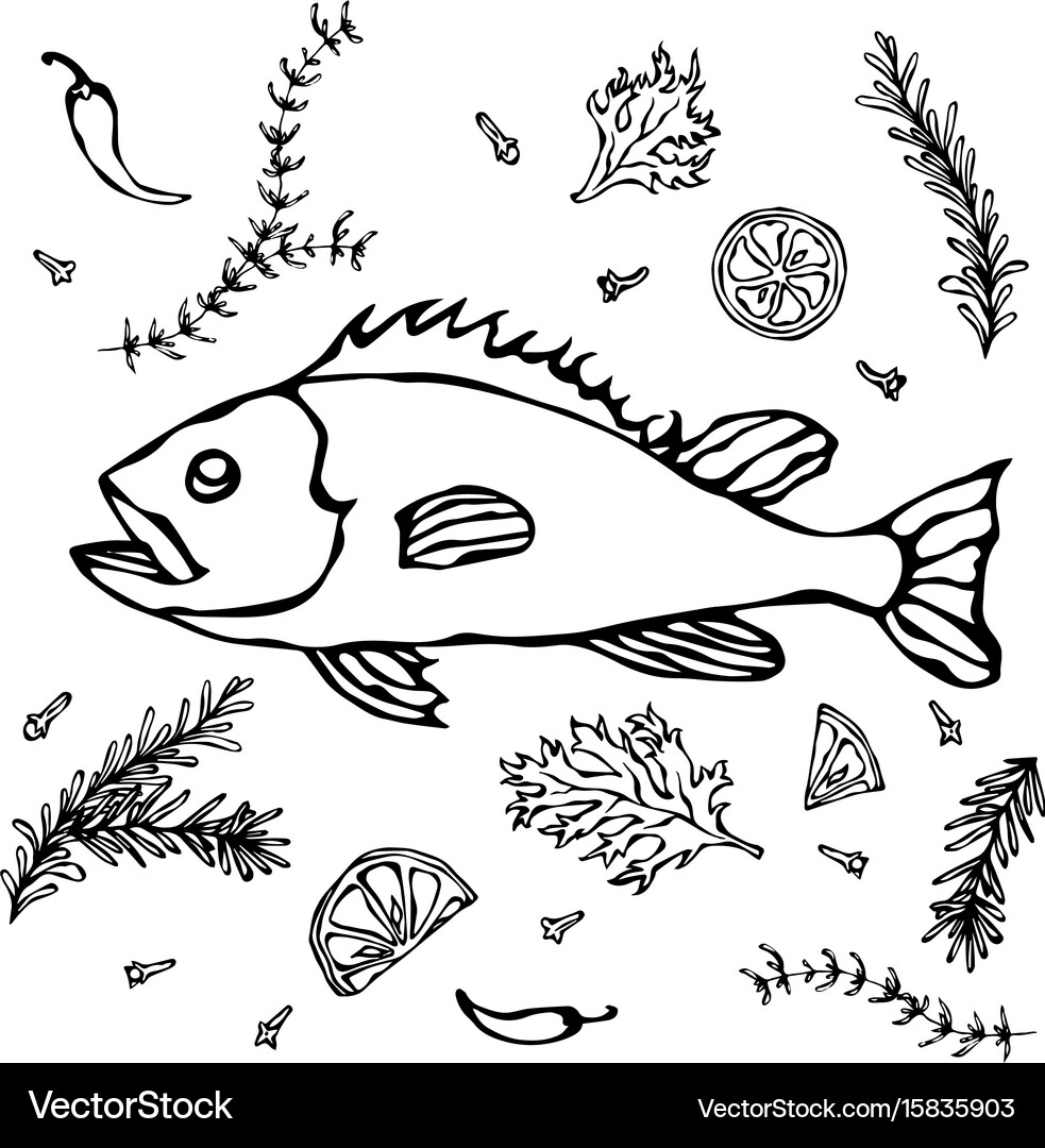 Fresh fish with herbs spices and lemon Royalty Free Vector