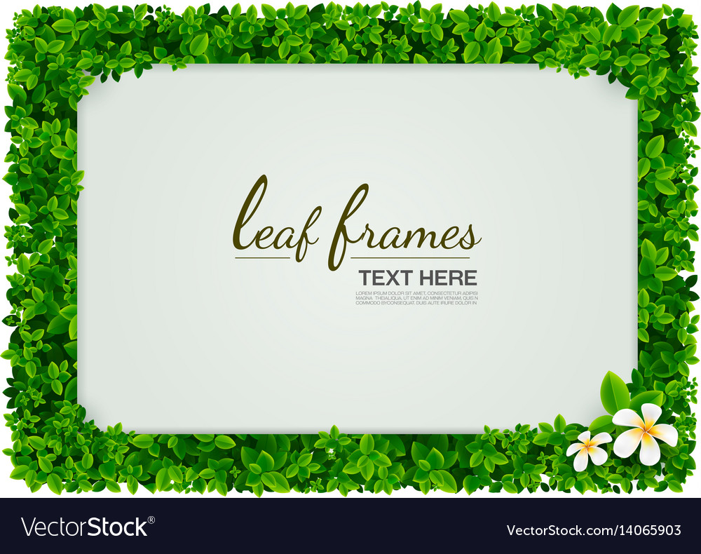 Leaf frames Royalty Free Vector Image - VectorStock