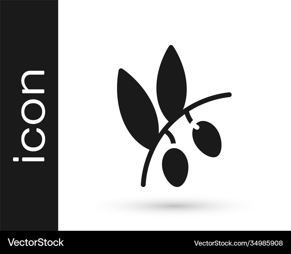 Black olives branch icon isolated on white Vector Image