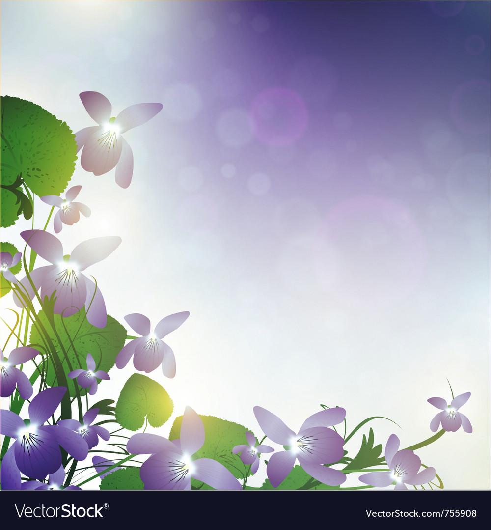 Wild violet Royalty Free Vector Image - VectorStock