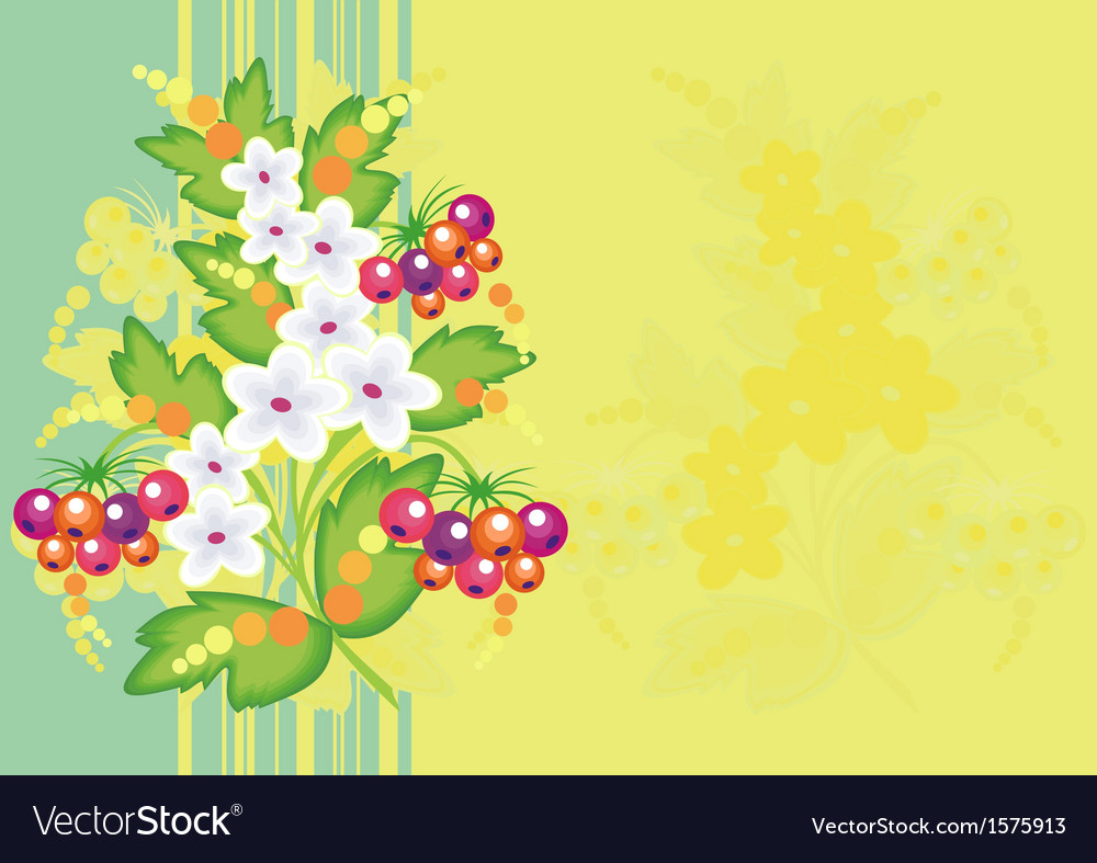 Abstract flowers and berries with background Vector Image