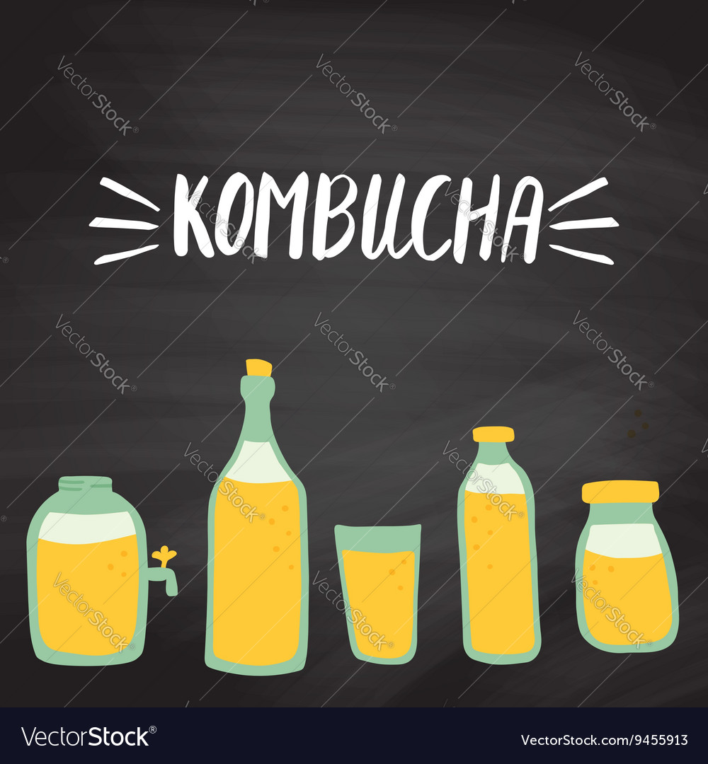 Kombucha set Royalty Free Vector Image - VectorStock