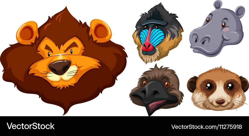 Animal heads on white background Royalty Free Vector Image