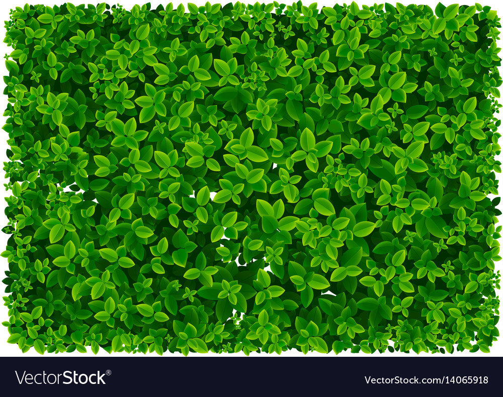 Leaf pattern and wallpaper Royalty Free Vector Image