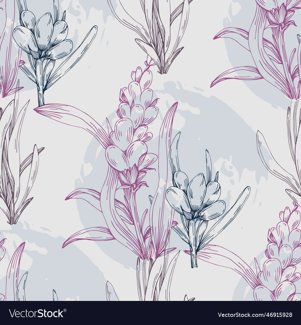 Lavender seamless pattern Royalty Free Vector Image