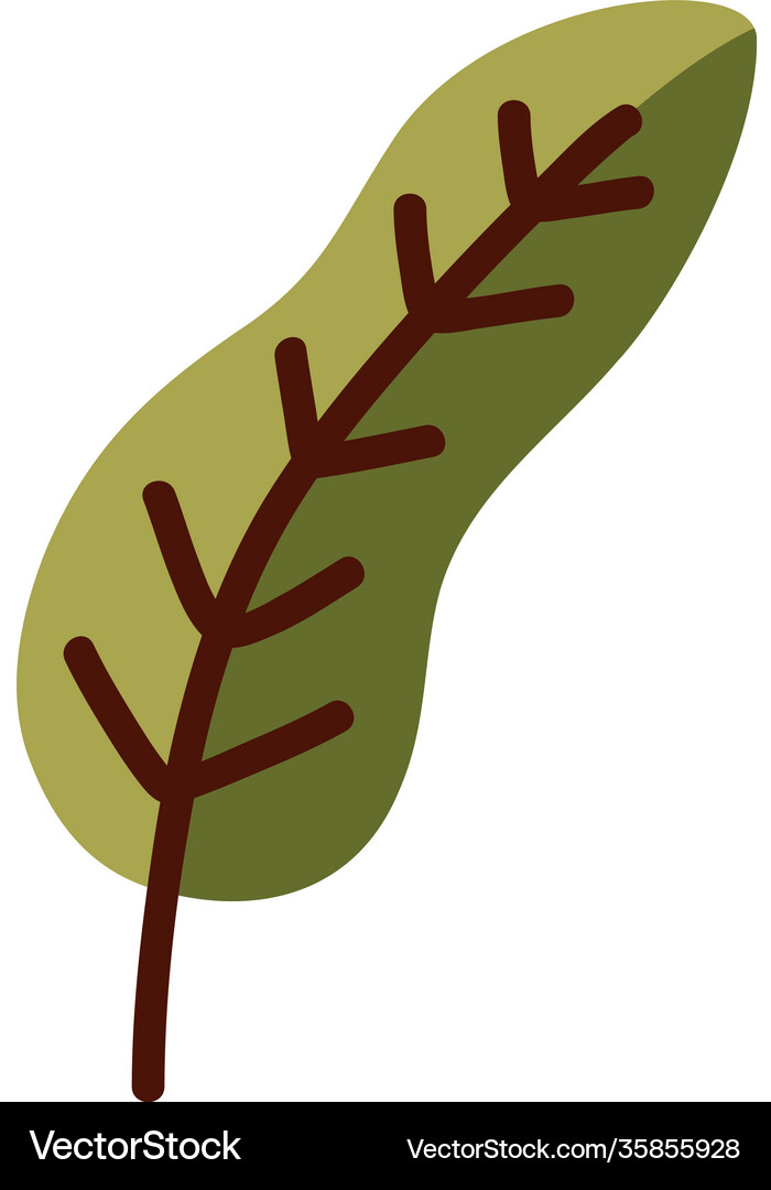 Natural leaf line and fill style symbol Royalty Free Vector