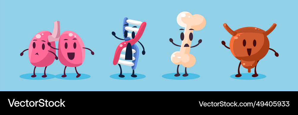 Funny human internal body organ character Vector Image