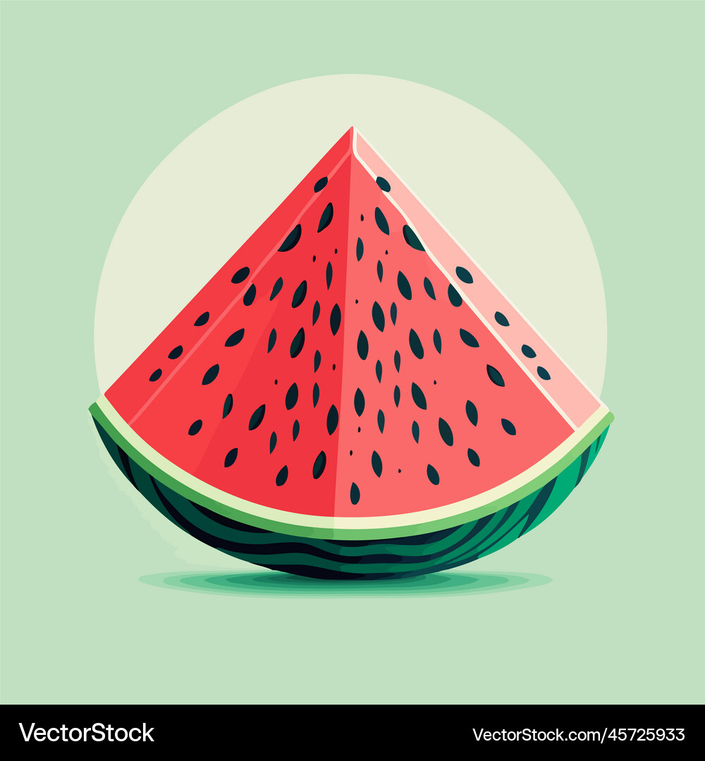 Watermelon fruit slice with green rind and red Vector Image