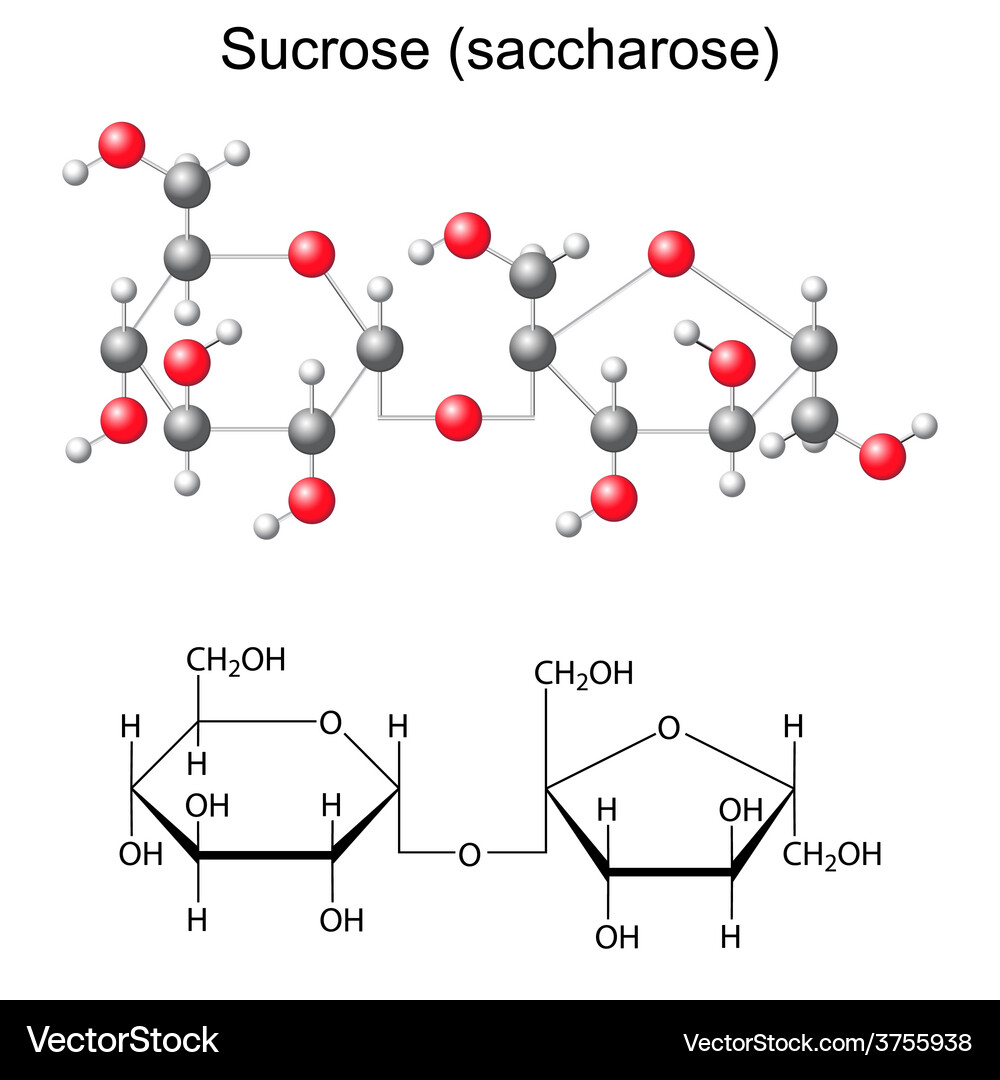 Chemical formula and model sucrose Royalty Free Vector Image