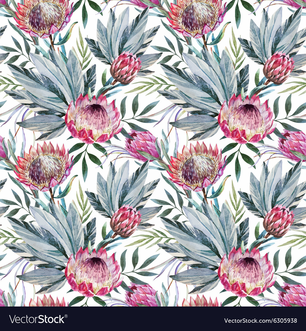 Tropical protea pattern Royalty Free Vector Image