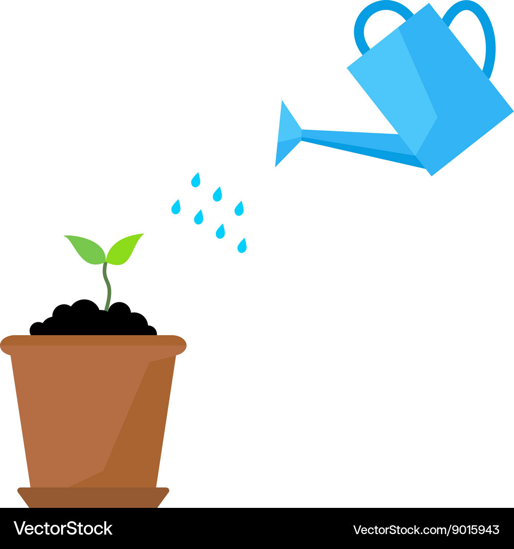 Timeline infographic of planting tree process Vector Image