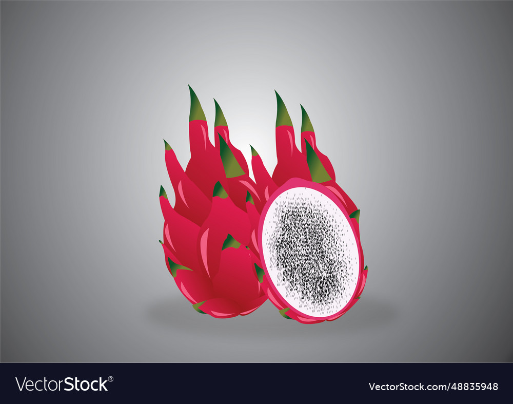 Dragon fruit Royalty Free Vector Image - VectorStock