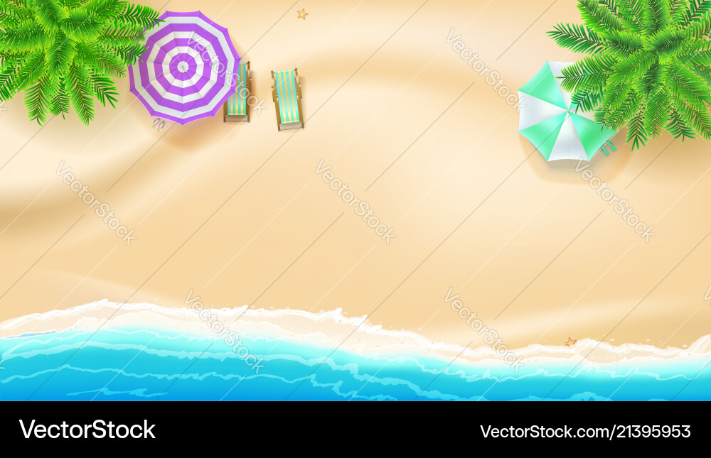 Sea shore and sandy beach flat lay top view Vector Image