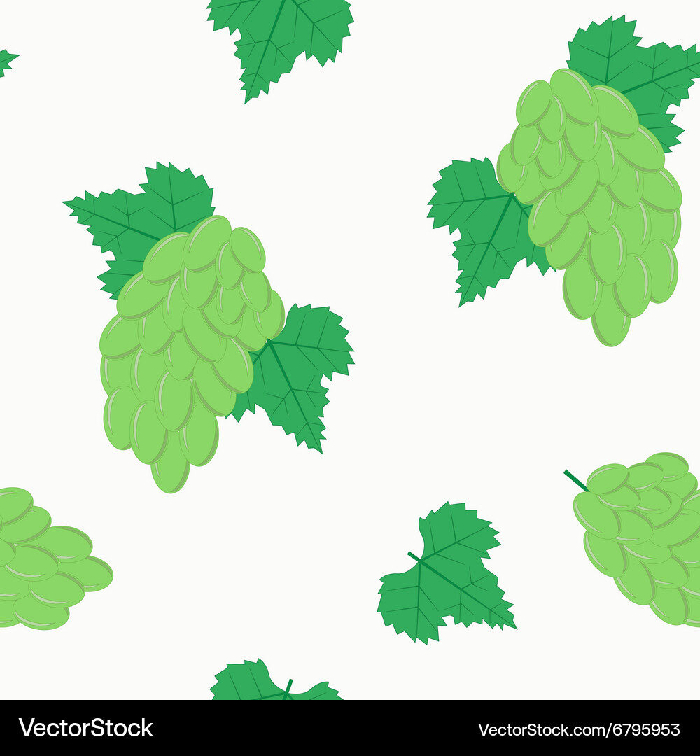 Seamless pattern with bunches of white grapes Vector Image