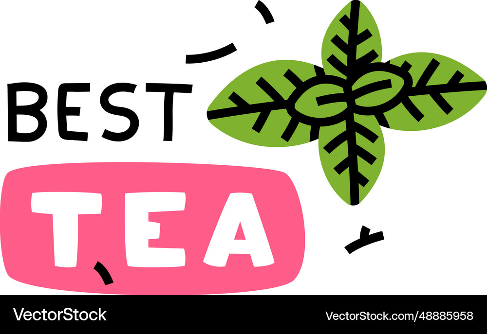 Best tea inscription with green mint leaf Vector Image